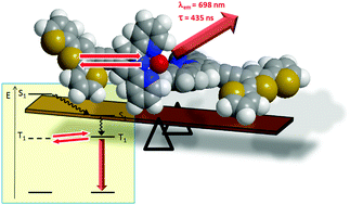 Ru2+ complexes comprising terpyridine ligands appended with ...
