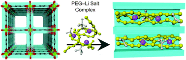 Inclusion and dynamics of a polymer–Li salt complex in coordination ...