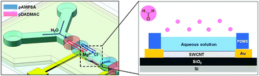 Formaldehyde gas sensing chip based on single-walled carbon nanotubes ...