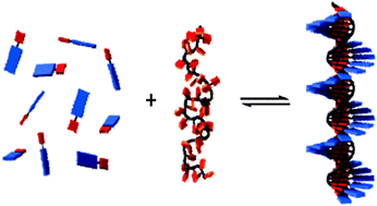 DNA-templated assembly of dyes and extended π-conjugated systems ...