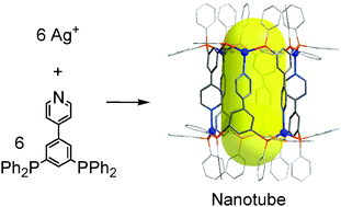 Discrete Ag6L6 coordination nanotubular structures based on a T-shaped ...