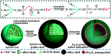 Facile access to ultrasmall Eu2O3 nanoparticle-functionalized hollow ...