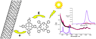 Panchromatic light harvesting in single wall carbon nanotube hybrids ...