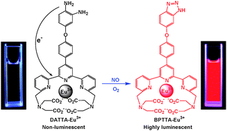 A europium(iii) chelate as an efficient time-gated luminescent probe ...