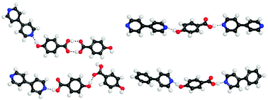 Synthon polymorphism and pseudopolymorphism in co-crystals. The 4,4 ...