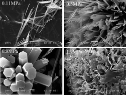 Pressure effecting on morphology of hydroxyapatite crystals in ...