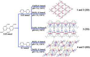 A series of complexes based on biphenyl-2,5,2′,5′-tetracarboxylic acid: syntheses, crystal ...