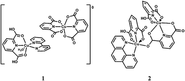 Structural diversity of complexes between Cu(ii) or Ni(ii) and ...