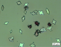 Additive controlled crystallization - CrystEngComm (RSC Publishing)