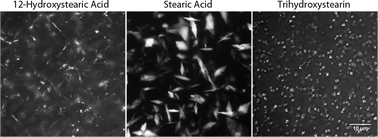Experimental validation of the modified Avrami model for non-isothermal ...