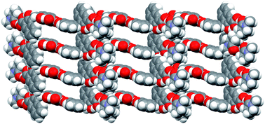 Solvate formation in lutidinium pamoate salts: a systematic study ...