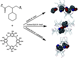 Cocrystallization of C-butyl pyrogallol[4]arene and C-propan-3-ol ...