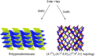 Zinc and copper coordination polymers with 4,4′-bipyridine and 2 ...