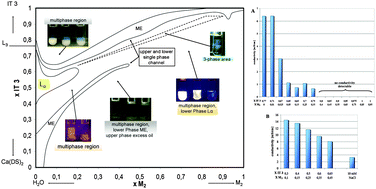 Microemulsions from silicone oil with an anionic/nonionic surfactant ...