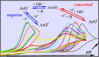 Concerted proton–electron transfers in the oxidation of phenols ...