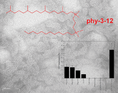 Synthesis and aggregation properties of dissymmetric phytanyl-gemini ...