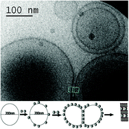The effect of PAMAM G6 dendrimers on the structure of lipidvesicles ...