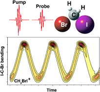 Exploring wavepacket dynamics behind strong-field momentum-dependent ...
