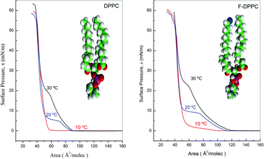 A comparative study of F-DPPC/DPPC mixed monolayers. Influence of ...