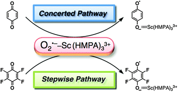 Stepwise vs. concerted pathways in scandium ion-coupled electron ...