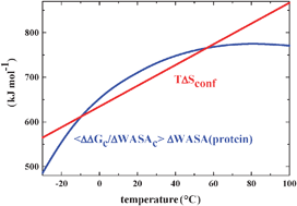 On the molecular origin of cold denaturation of globular proteins ...