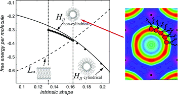 Elastic deformations in hexagonal phases studied by small-angle X-ray ...