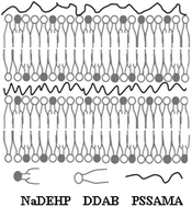 Investigation on the aggregation behaviors of DDAB/NaDEHP catanionic ...