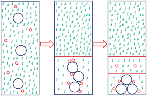 Two-stage phase separation in ternary colloid–polymer mixtures ...
