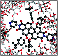 Freezing single molecule dynamics on interfaces and in polymers ...