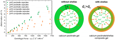 Mechanical properties of liquid-filled shellac composite capsules ...