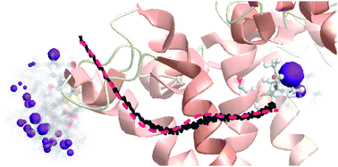 Rotamer libraries of spin labelled cysteines for protein studies ...