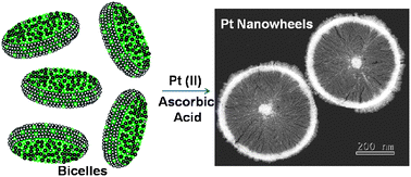 Templated growth of platinum nanowheels using the inhomogeneous ...