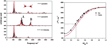 Proton transfer reactions and dynamics in protonated water clusters ...