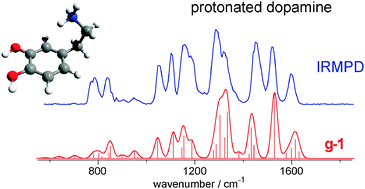 Infrared spectra of protonated neurotransmitters: dopamine - Physical ...