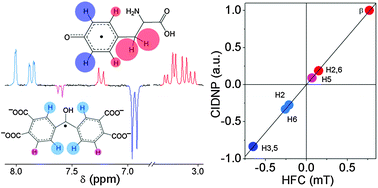 Time-resolved CIDNP: an NMR way to determine the EPR parameters of ...
