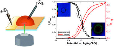 Visualisation of electrochemical processes at optically transparent ...