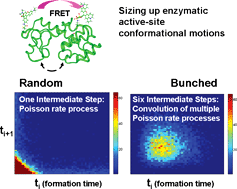 Revealing time bunching effect in single-molecule enzyme conformational ...
