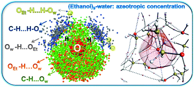 The dynamic behavior of a liquid ethanol–water mixture: a perspective ...