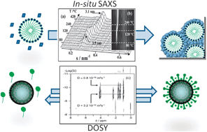Molecular and supramolecular dynamics of hybrid organic–inorganic ...