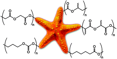 Aliphatic polyester polymer stars: synthesis, properties and ...