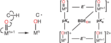 Role of metal–oxo complexes in the cleavage of C–H bonds - Chemical ...