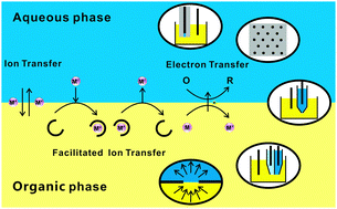 Electrochemistry at micro- and nanoscopic liquid/liquid interfaces ...
