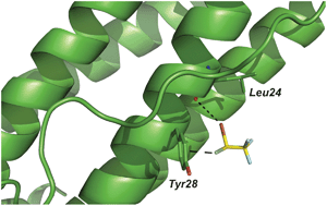 Halogen bonding in halocarbon–protein complexes: a structural survey ...
