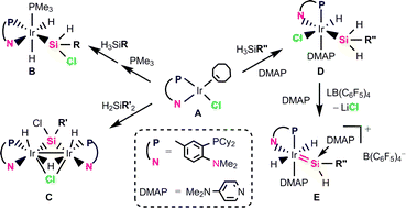 Synthesis of η2-cyclooctene iridium and rhodium complexes supported by ...