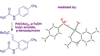 Anilide activation of adjacent C–H bonds in the palladium-catalysed ...