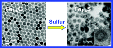 Sulfidation of rock-salt-type transition metal oxide nanoparticles as ...
