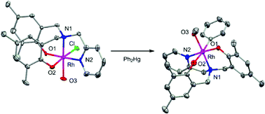 Rhodium complexes bearing tetradentate diamine-bis(phenolate) ligands ...