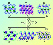 Inorganic–organic hybrid compounds based on octamolybdates and metal ...