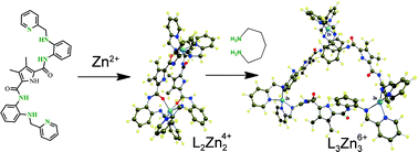 Control of metal-directed self-assembly by metal–amine interactions ...