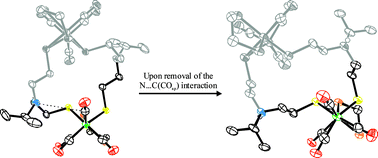 Influences on the rotated structure of diiron dithiolate complexes ...